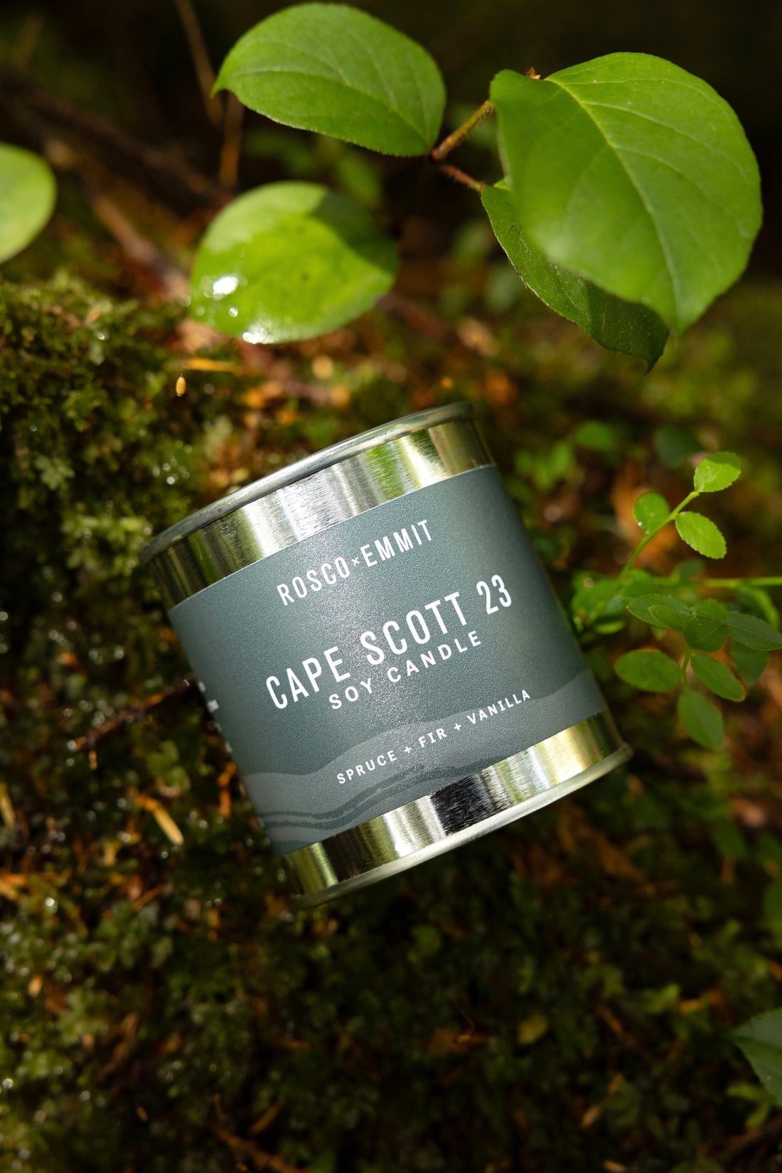 Cape Scott 23 – Rosco Emmit